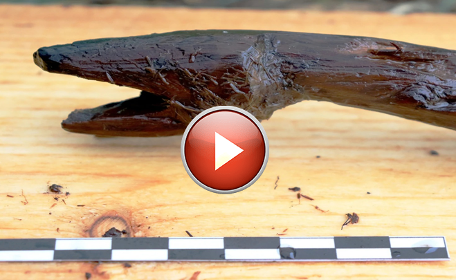4,400-year-old shaman's 'snake staff' discovered in Finland